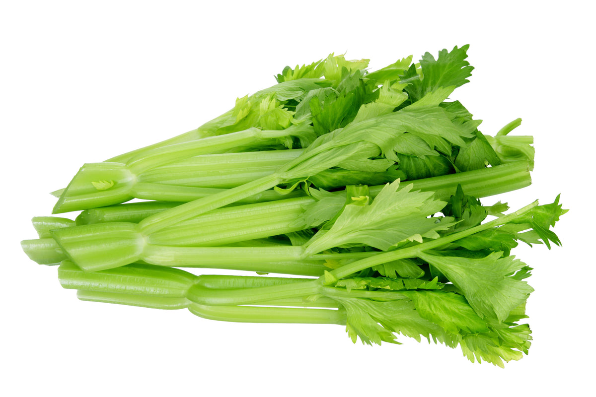 Chinese Celery & Western Celery – TrueRoots
